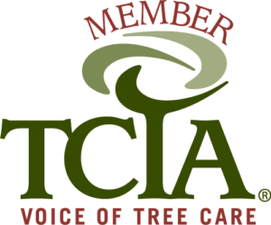 Independent Tree | Northeast Ohio Tree Care Services Since 1995