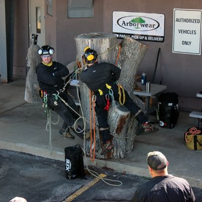 Tree Services in Chagrin Falls, Ohio- Independent Tree Tree Service