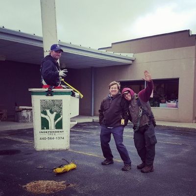 Tree Services in Chagrin Falls, Ohio- Independent Tree Tree Service